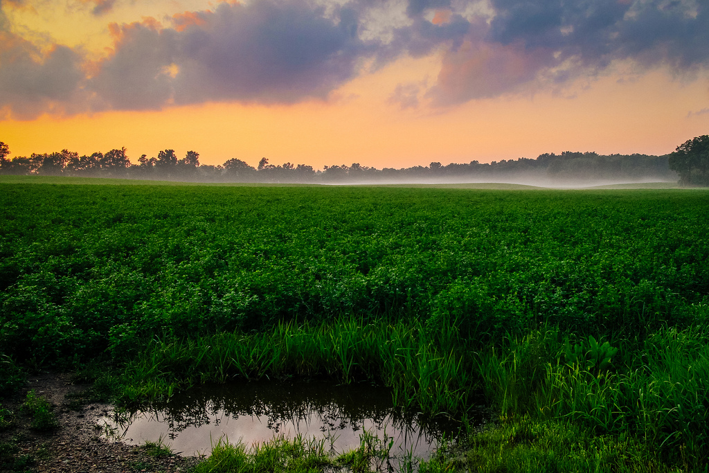 A Rare Landscape – Dave Lawrence Photography