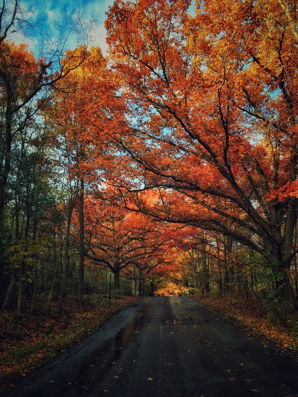 Photographer Interview: Candy Hernandez - Dave Lawrence Photography
